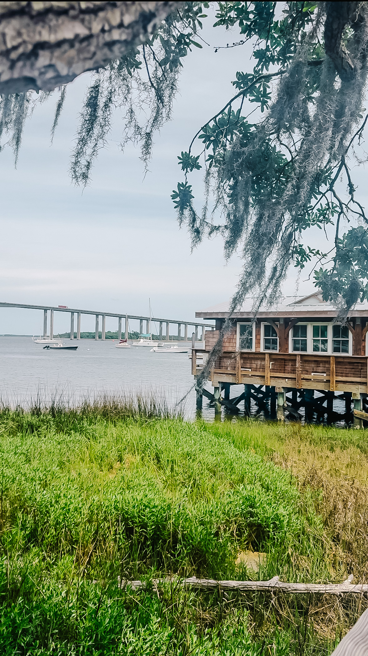 Choosing Daniel Island: The Story | Elise in Charleston